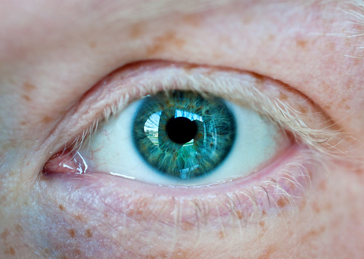 the-allure-of-attractive-eyes-gazing-into-the-enigma-by-robert-ralph