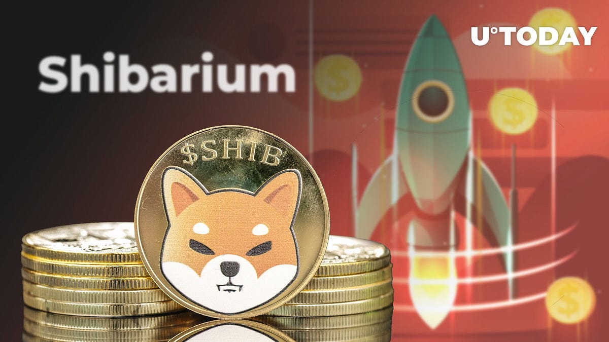 🔥Your Ultimate Guide to Shibarium Airdrop — Claim Shibarium Airdrop ...