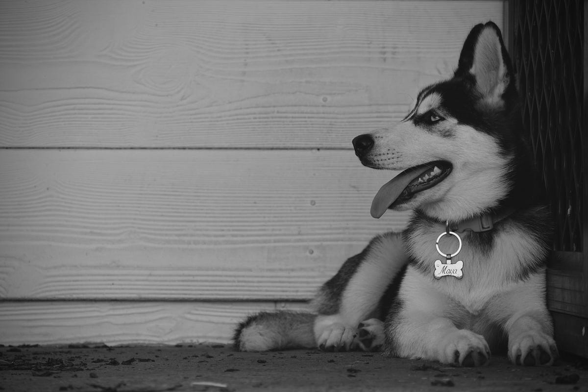 Leveraging Git Hooks With Husky In Javascript By Rajkumar Gaur Nerd For Tech Medium