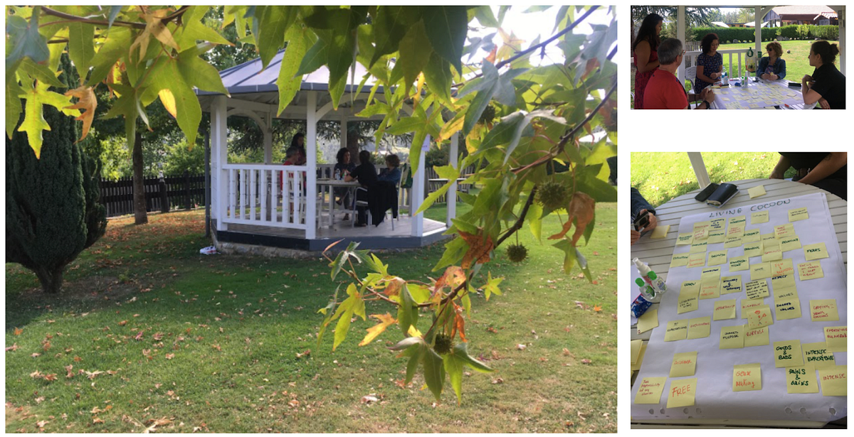 Living Cocoon Pro. In many ways, Life in Cocoon Pro is… | by Iñaki ...