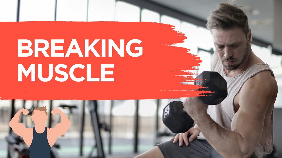 Breaking Muscle. Introduction | by Hamza Maqbool | Oct, 2023 | Medium