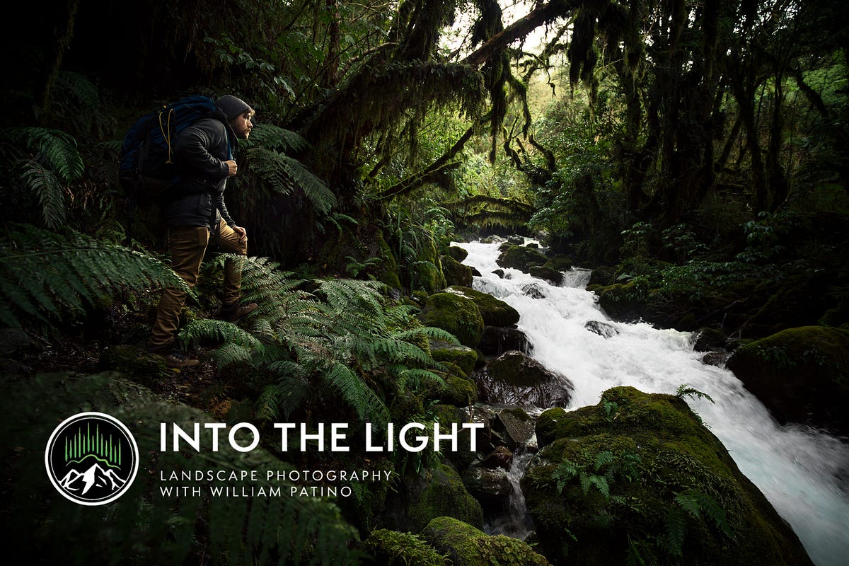 William Patino — Into The Light — Online Photography Tutorials | by ...