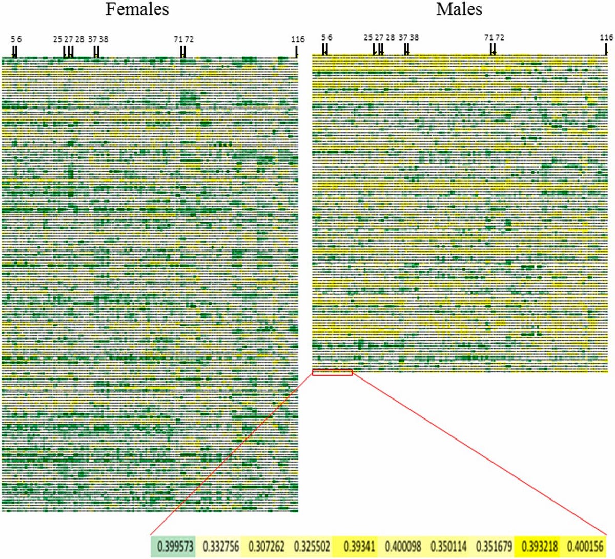 The Brain Mosaic Theory. A review of the current literature… | by ...