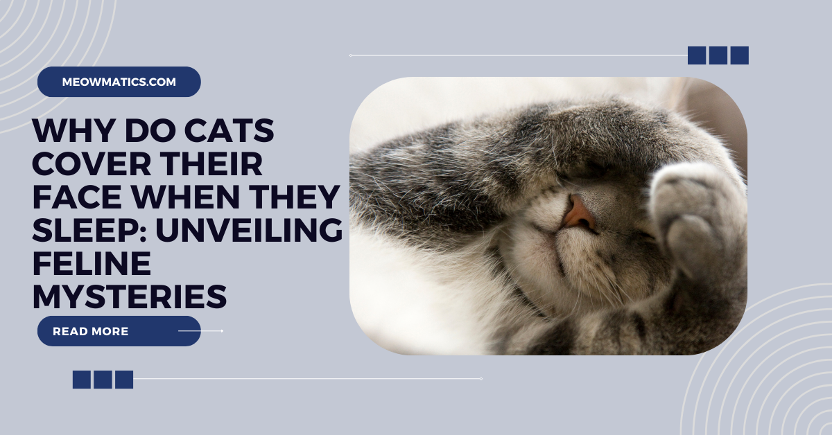 Why Do Cats Cover Their Face When They Sleep: Unveiling Feline ...