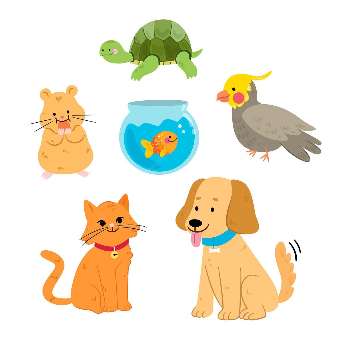 how-to-choose-the-best-pet-for-you-by-dark11-jun-2023-medium