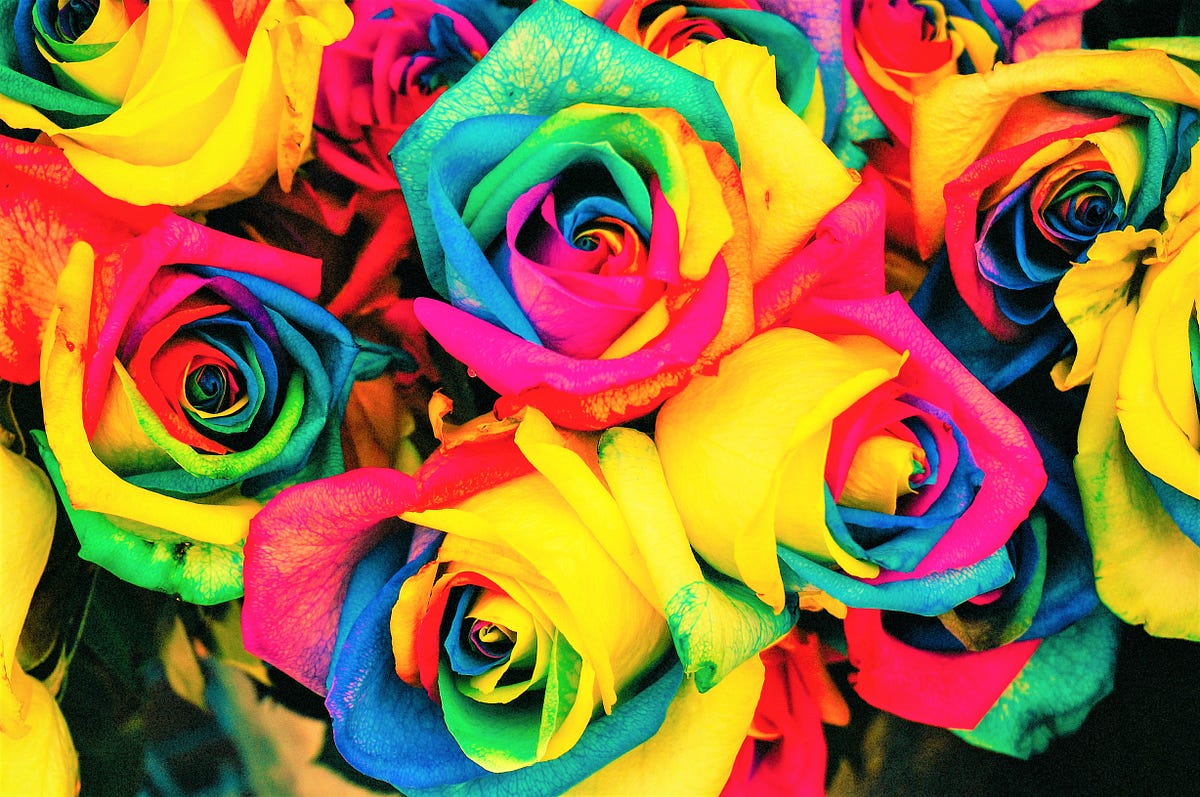 Love as insanity or why you shouldn’t date a philosopher. | by Dayna ...