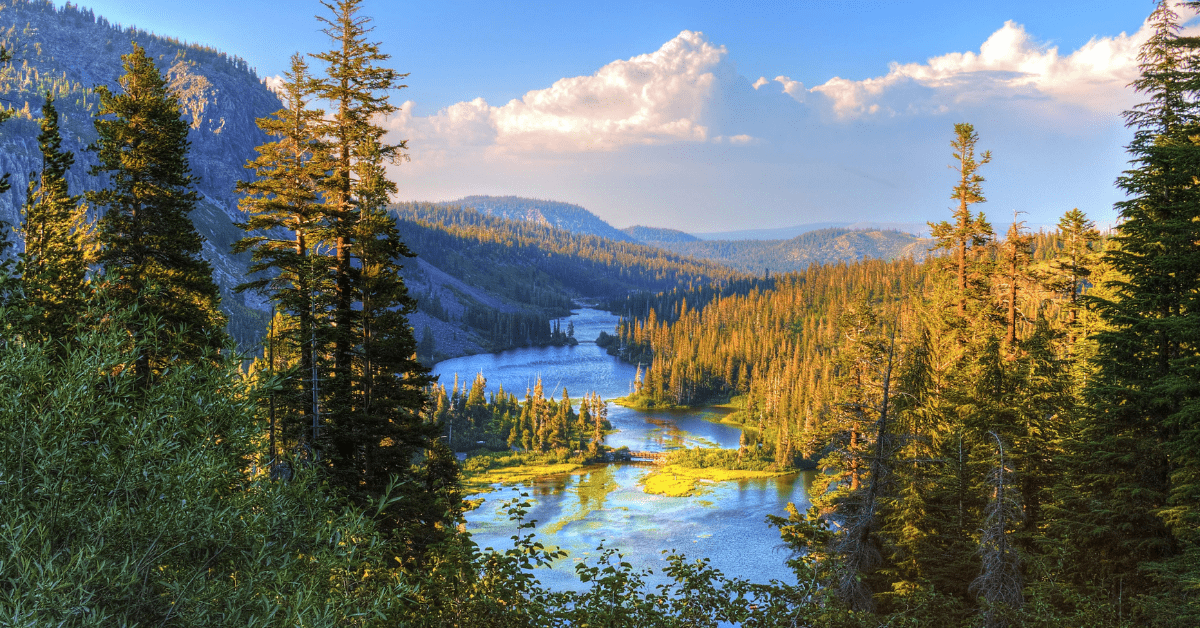 Top 9 Beautiful Forest to Visit Worldwide | by Detravelvibes | Medium