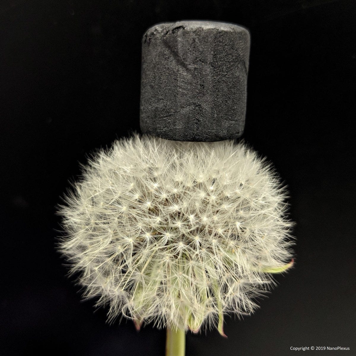 Exploring Synthesis Methods for Graphene Aerogels and Their Effects on Adsorption | by Sakeenah ...