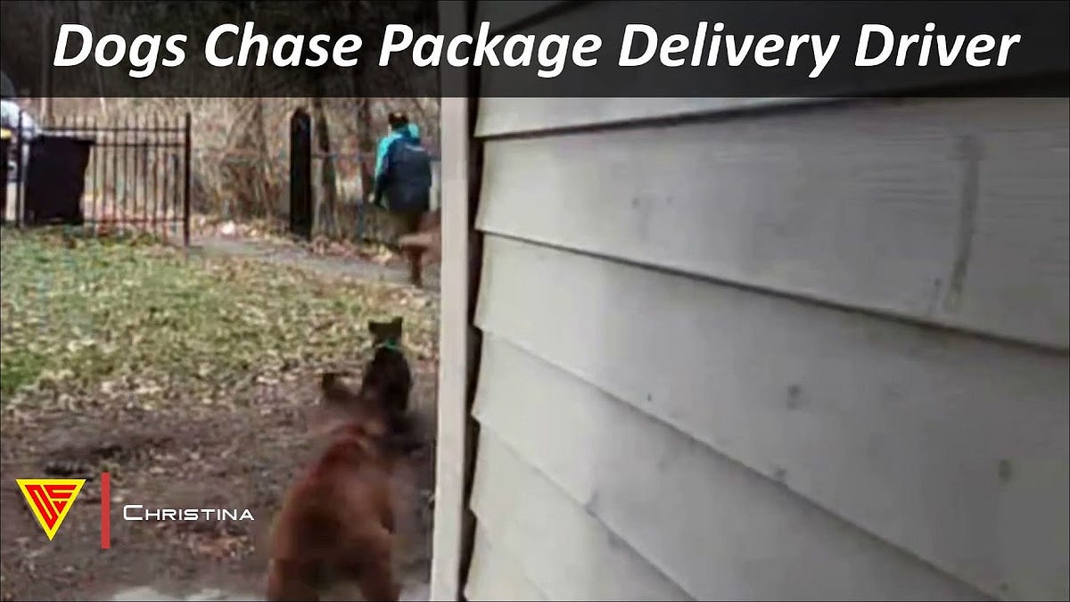 Dogs Chase Package Delivery Driver Caught on Ring Camera | Doorbell ...