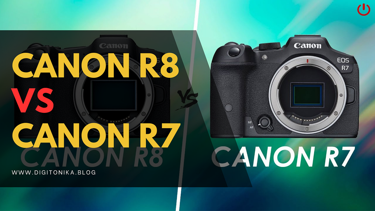 Canon R7 vs R8 2024 : What is the difference | by AminerhyaBlogs | Apr, 2024 | Medium