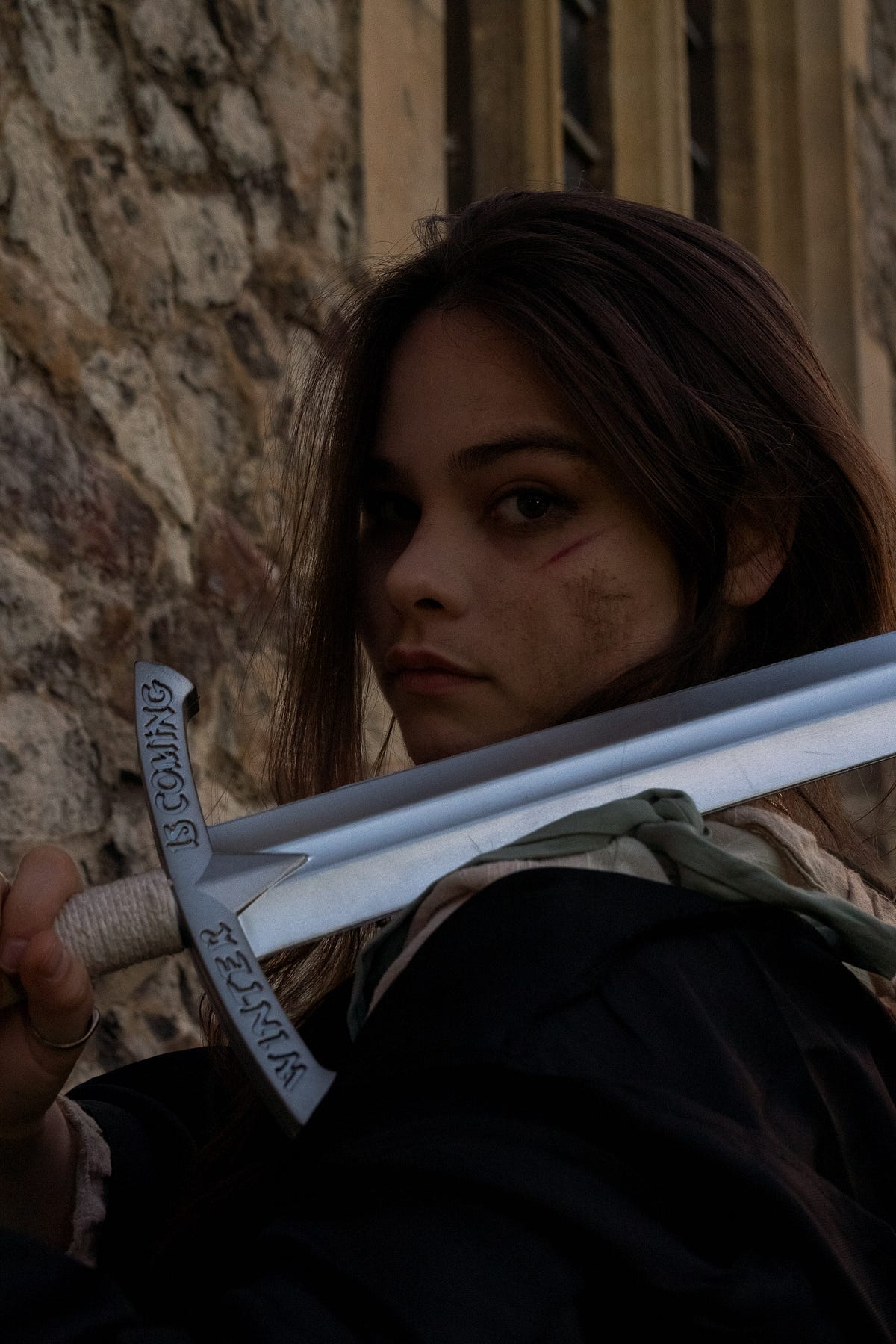 Revenge Of The Cannon Fodder Villainess: Chapter 21 | by Summer Daze | The Fiction Writer’s Den ...