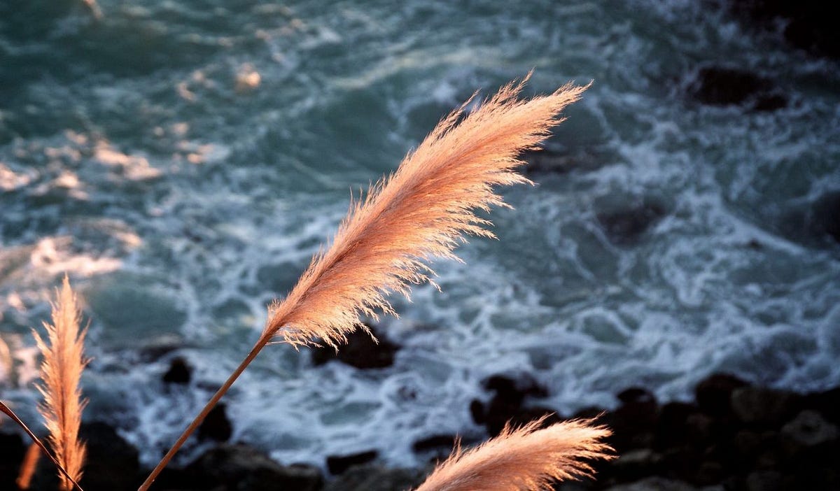 How To Install Apache Maven on Ubuntu 22.04/20.04/18.04 | by ComputingPost | Medium