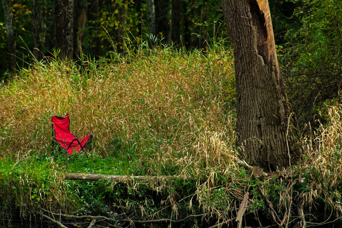 The View From a Folding Chair. Situated at the mouth of my suburban… | by Bryan Kent Swepston ...