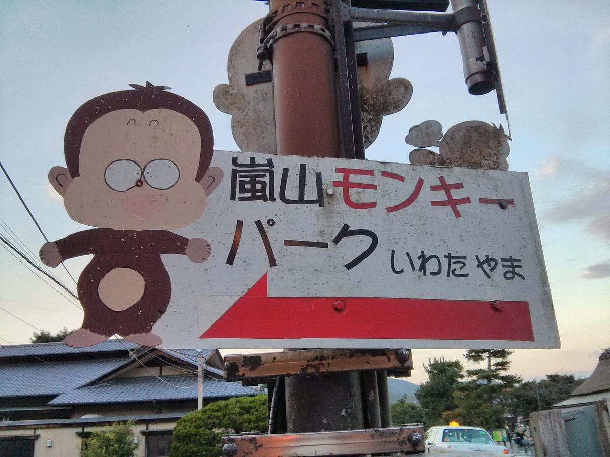 Dia 12 — Monkey Park | by Túlio Ornelas | Viagem ao Japão | Medium