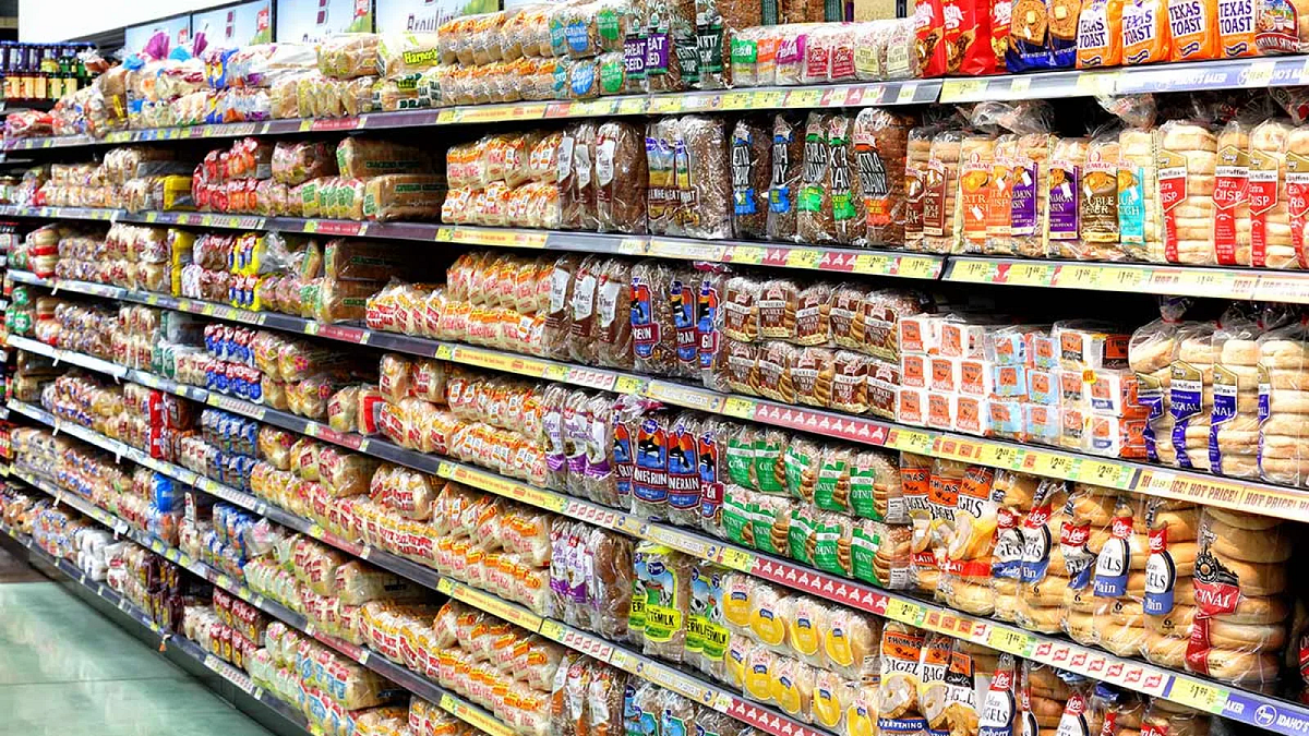 Your Brain’s Cheat Codes For Making Decisions | by Schuyler Smith ...