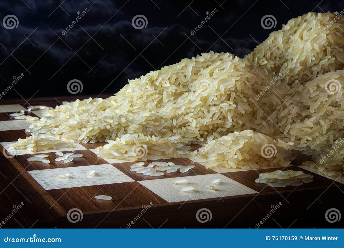 Wheat Grains Mocking The Chessboard | by Arwa Alshara | Medium