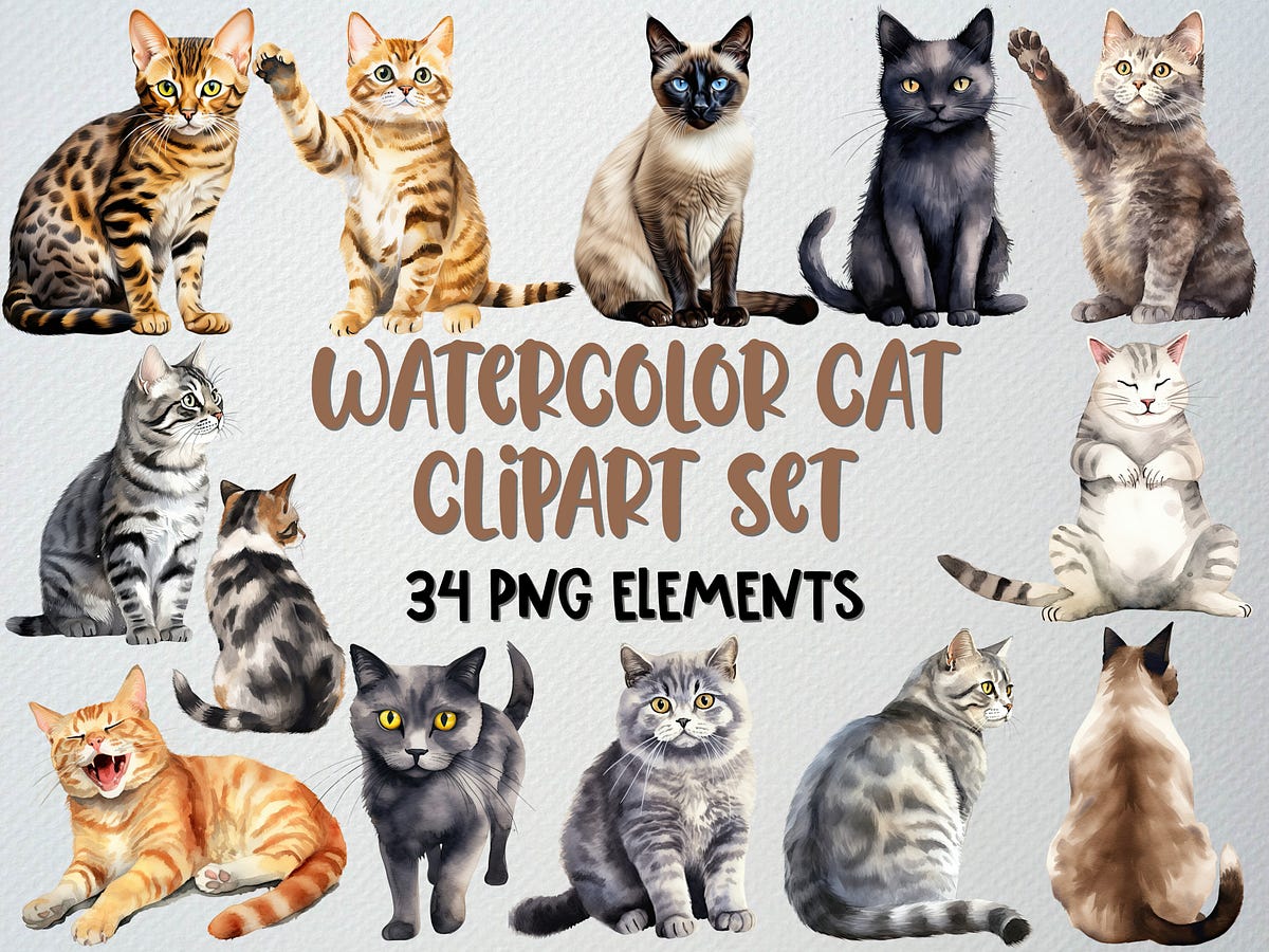 Watercolor Cat Clipart Set, Kitten PNG | by Bytebelle | Medium