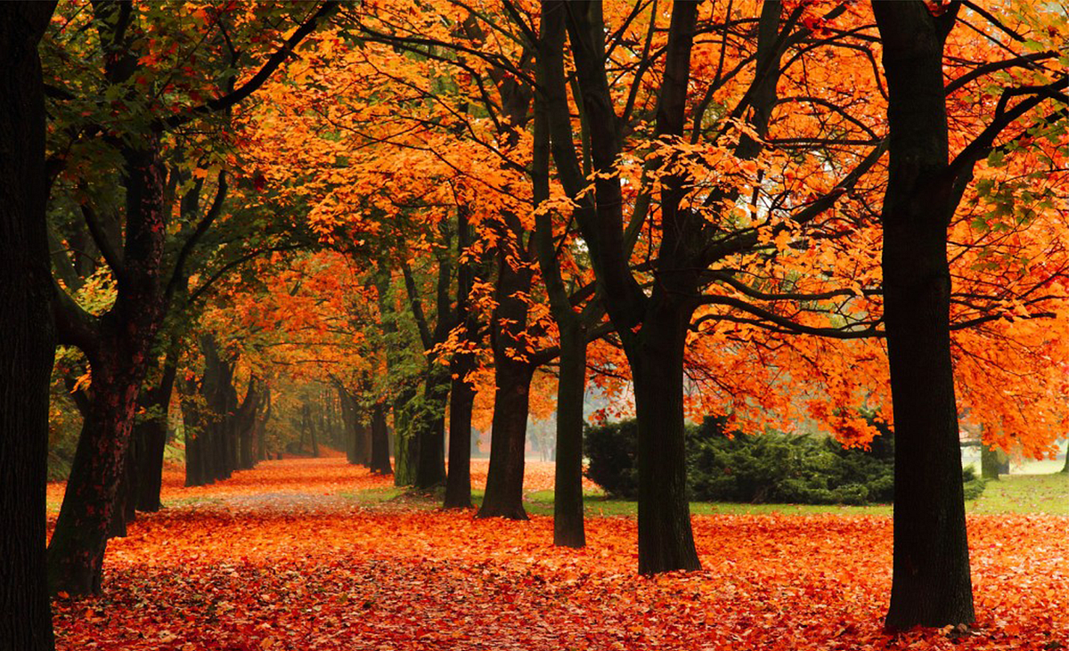 is-fall-the-best-season-of-the-year-by-john-jordan-medium