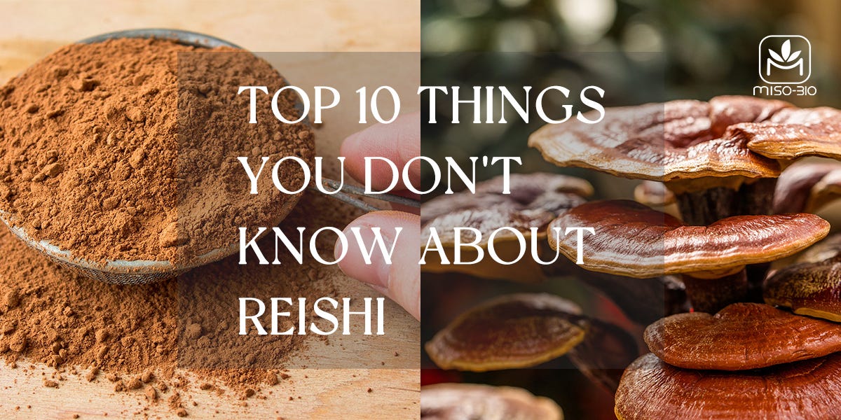 Top 10 Things We Don’t Know About Reishi | by Hunan Miso Biosciences ...