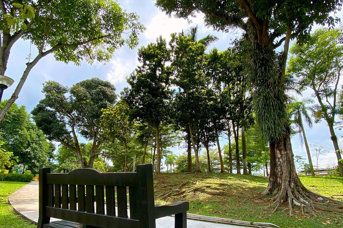 The 5 Most Underrated Parks in Singapore | by Benedict Lim Fang Jun ...