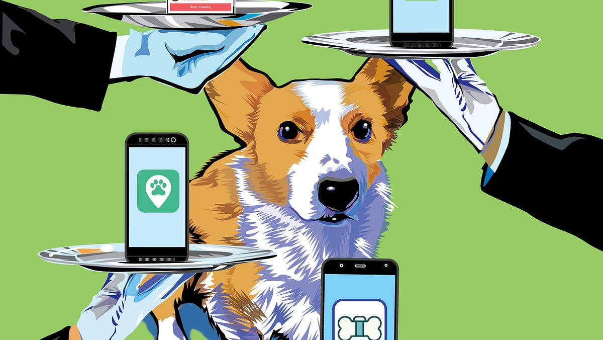 Start-up Society #51: The Pet Tech Issue 🐶🐱🐹🐰🐠🦜🦎 | by Arteen Zahiri ...