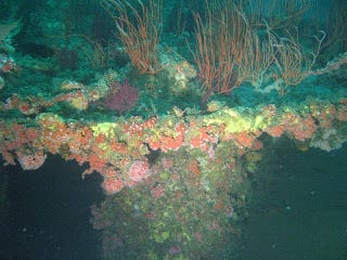 Structure on USS Hogan…. | by Michael Bear | Rapture of the Deep | Medium