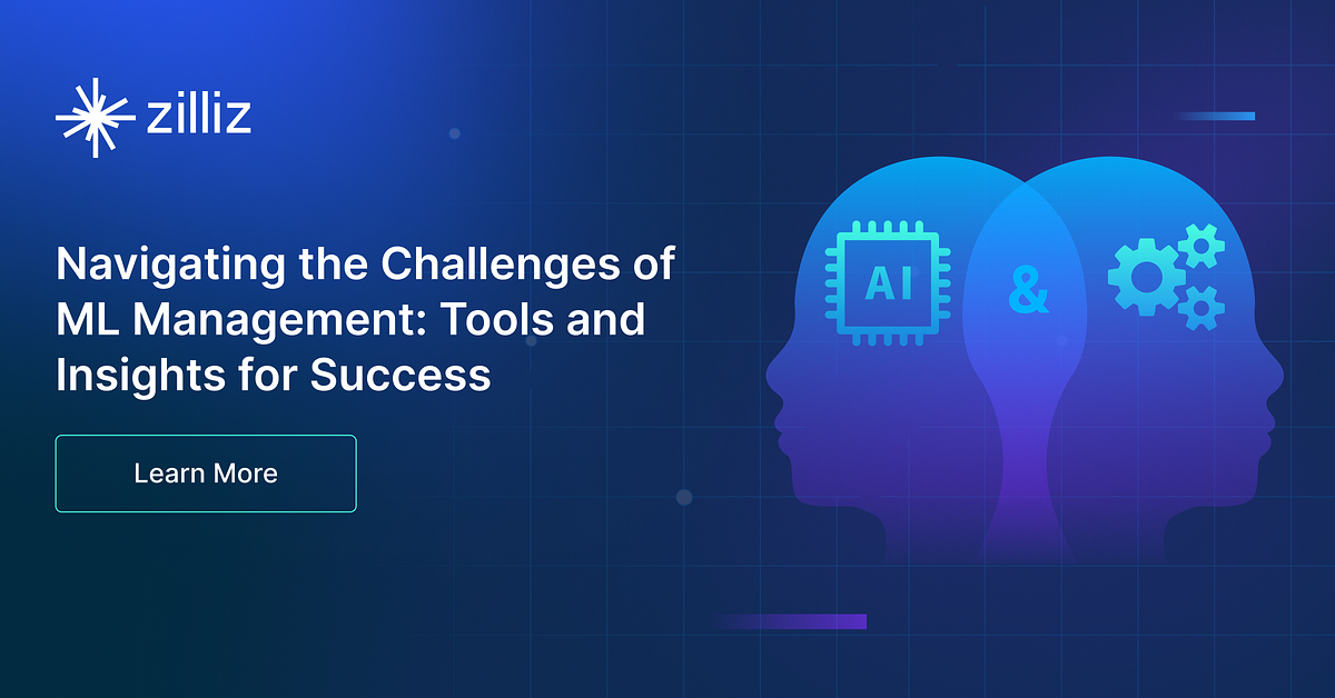 Navigating the Challenges of ML Management: Tools and Insights for ...