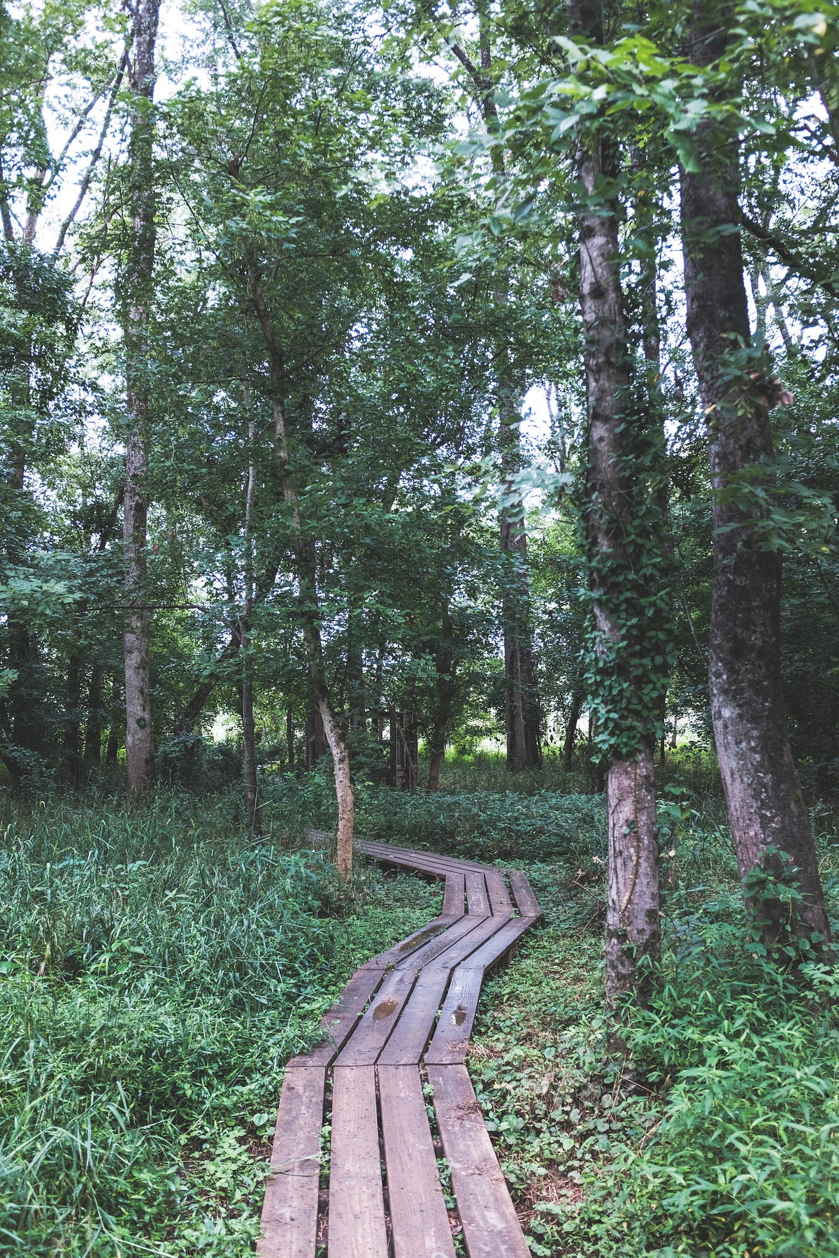 How To Know When You Are On The Wrong Path | by Ilana Rabinowitz ...