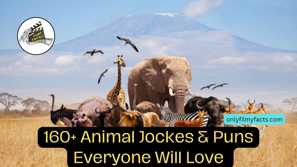 160+ Otterly Terrific Kid-Friendly Animal Jokes And Puns Everyone Will ...