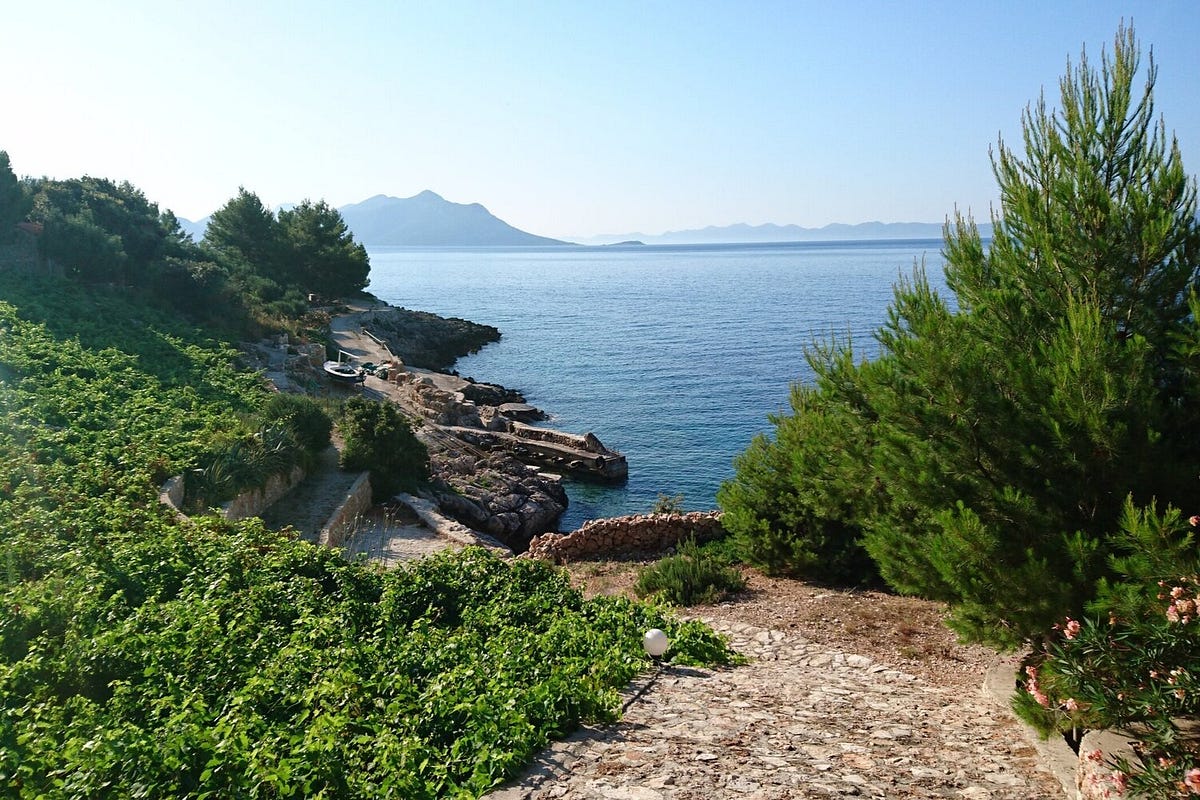 December Wine Club. Wines for Gathering and Celebration | by Jason ...