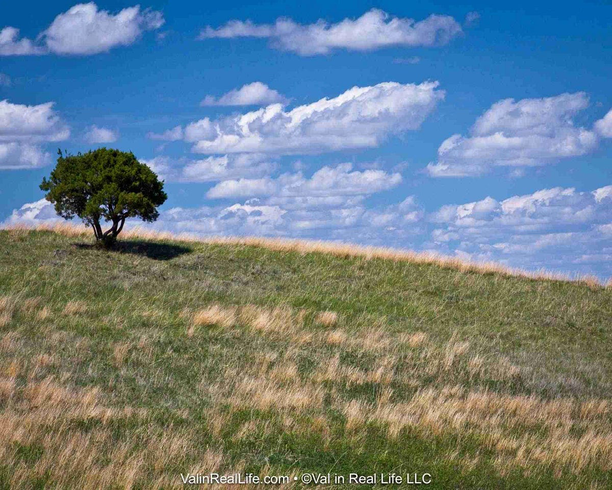 Postcards from Real Life: Sky. Estimated reading time: 2 minutes | by ...