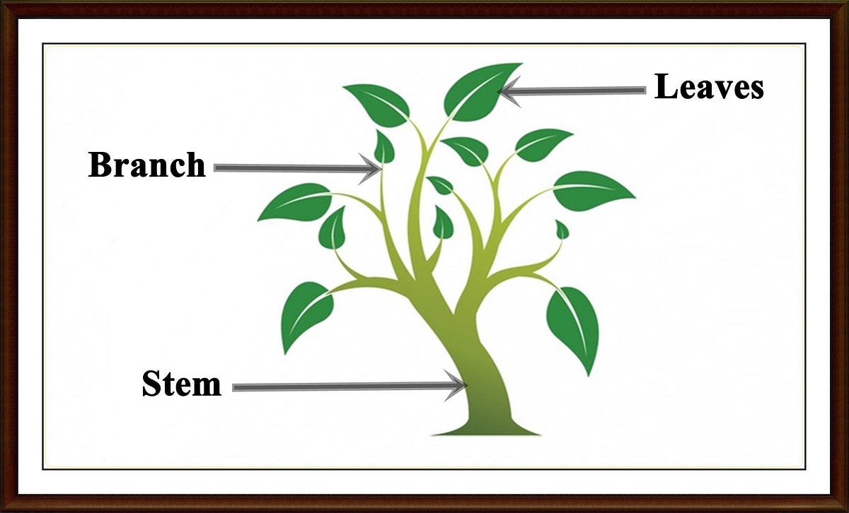 What Is The Difference Between Stems And Roots? | by Diksha Bhardwaj ...