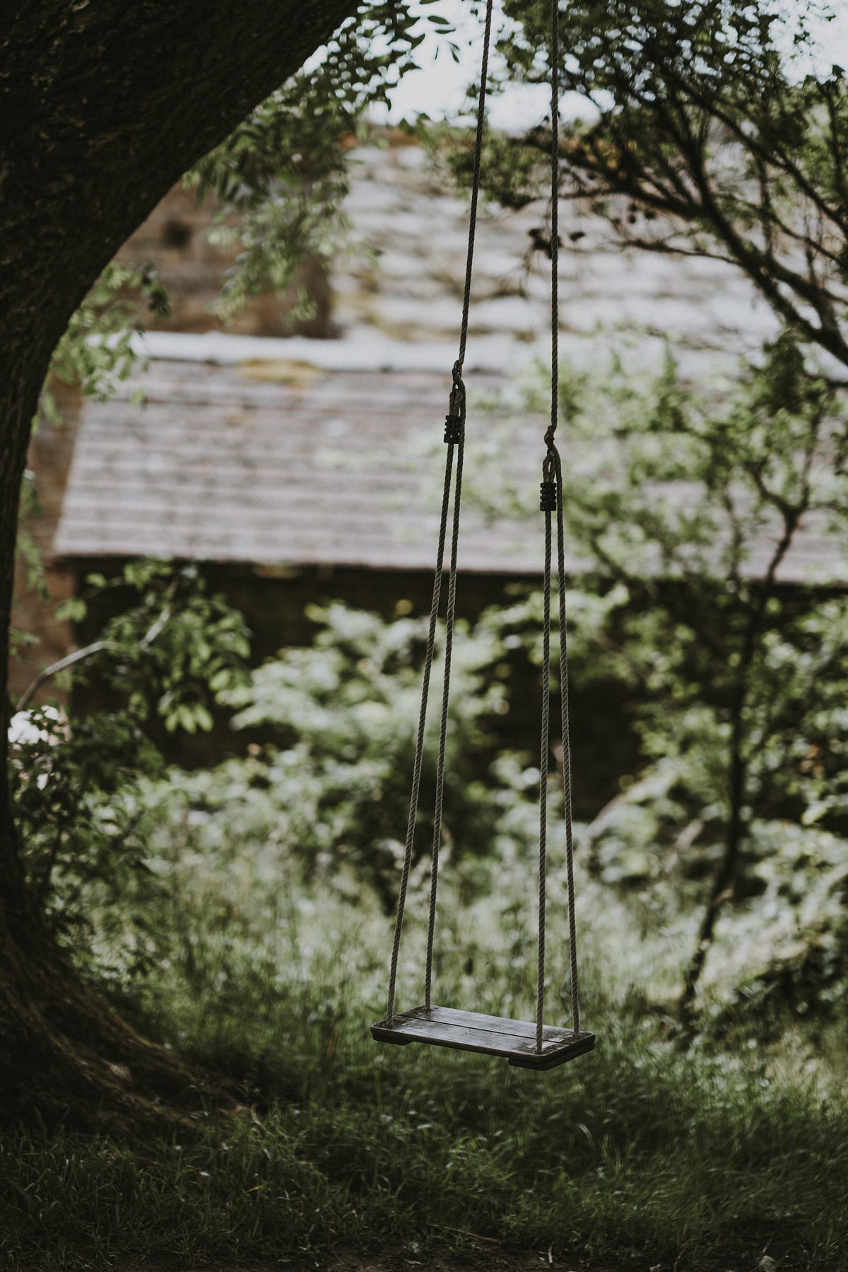 The Tree Swing. A poem about a child feeling the… | by Janet Meisel ...