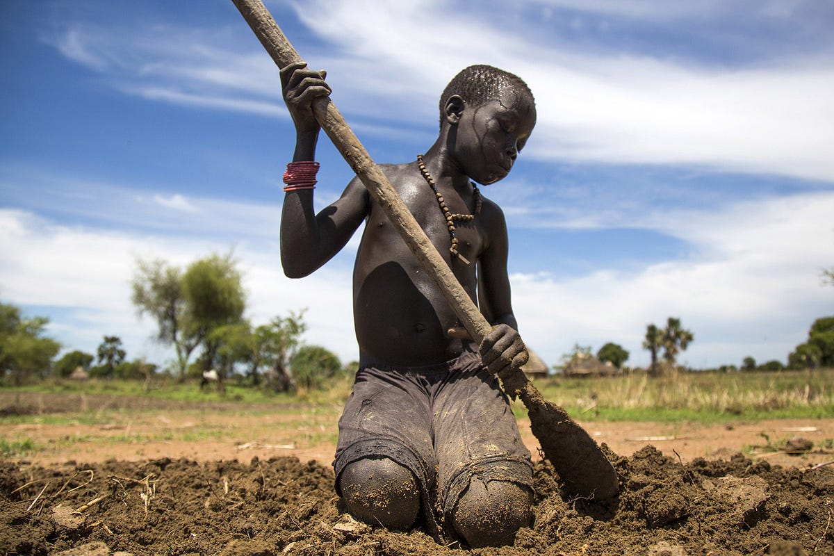 35 of the most #powerful #photos of the week http://zorz.it/2qQHf3k ...