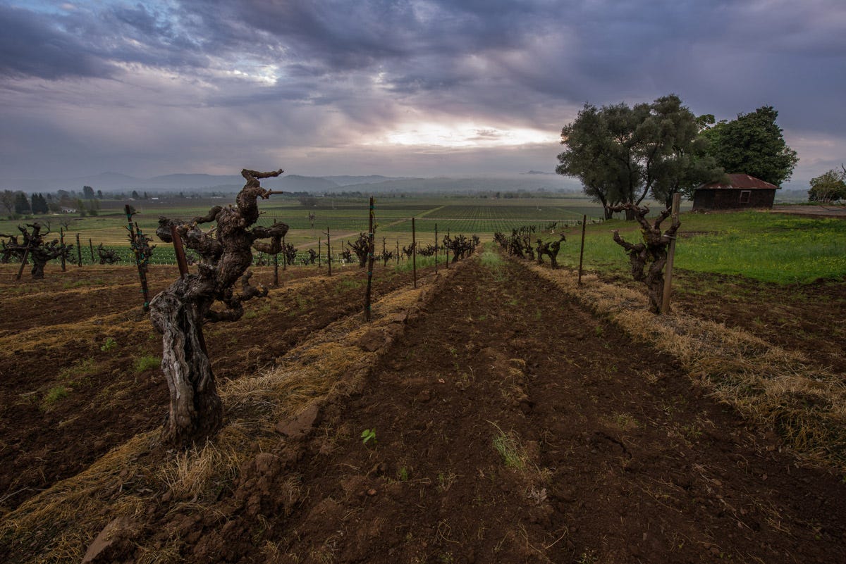 Introduction to Soil Types and Wine | by KS Loves Wine | Wine Folly ...
