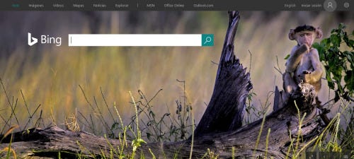 Microsoft Debuts Bing Insider Program http://dlvr.it/LDN0ty | by Markus ...