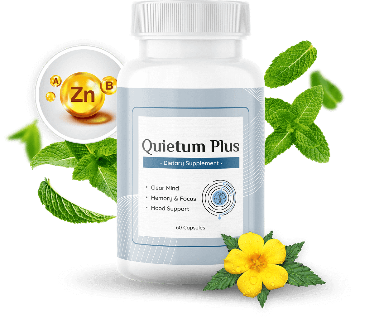 Silencing the Noise: A Comprehensive Review of Quietum Plus — Top Offer ...