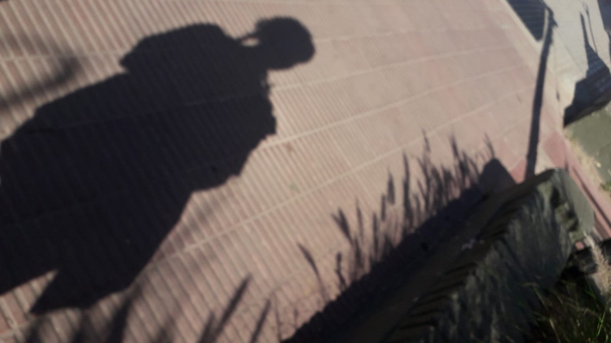 Semana 40/52. October 11, 2023 | by Las Aventuras de Dani | Medium