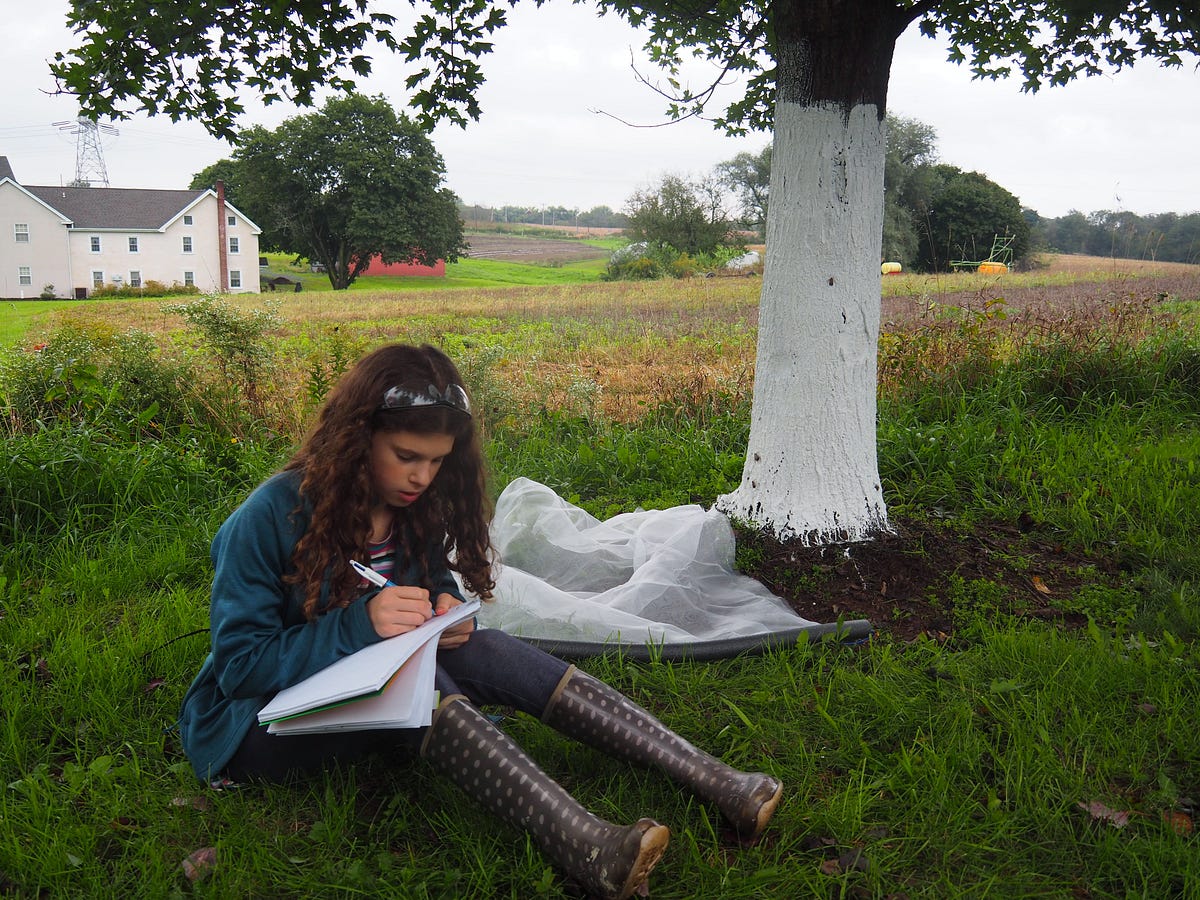 Inventing a Better Insect Trap. How One Pennsylvania Teen Found… | by ...