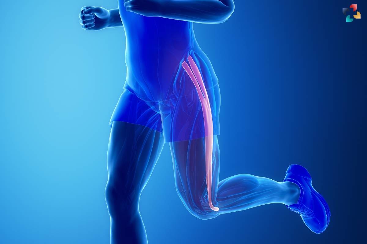Understanding the Tensor Fascia Lata Muscle: Anatomy, Function, and ...