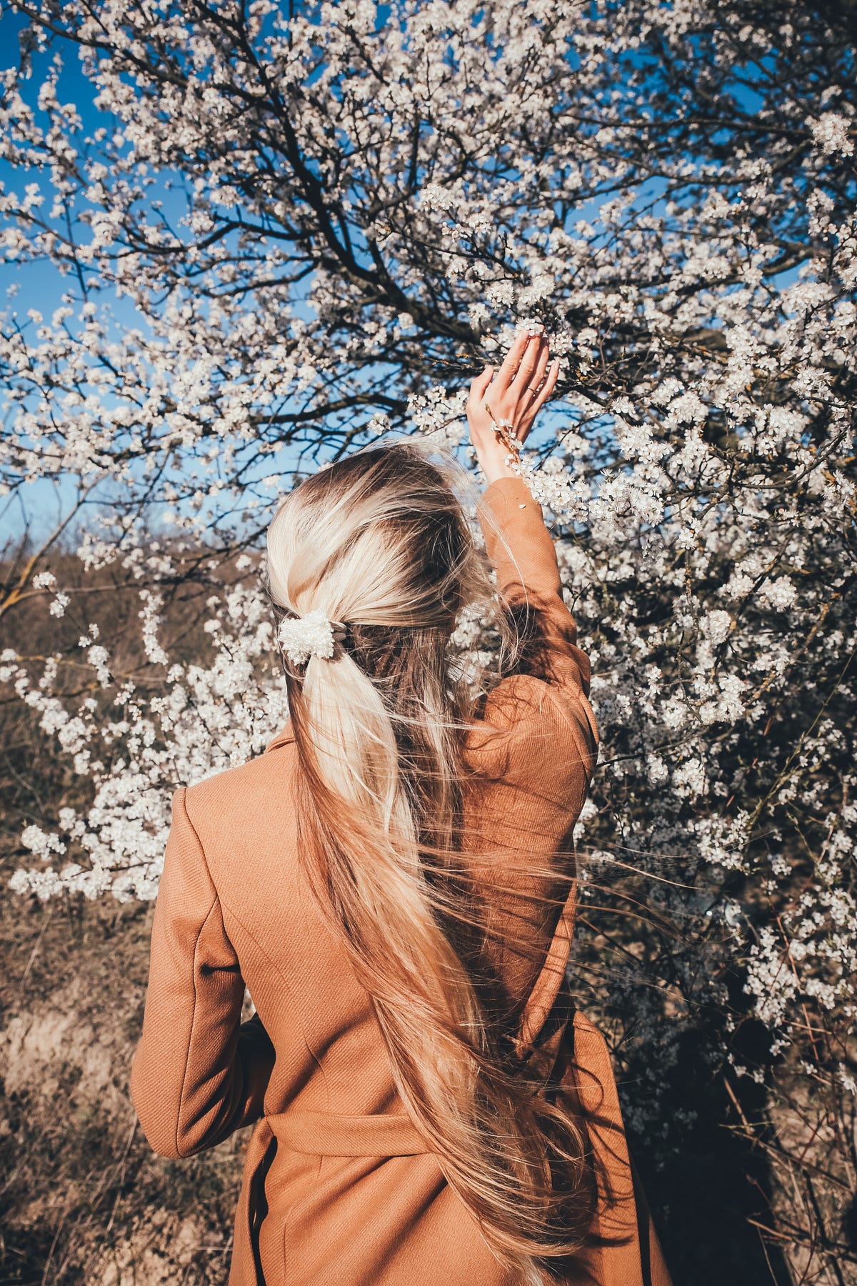 Ode to Spring - Scribe - Medium