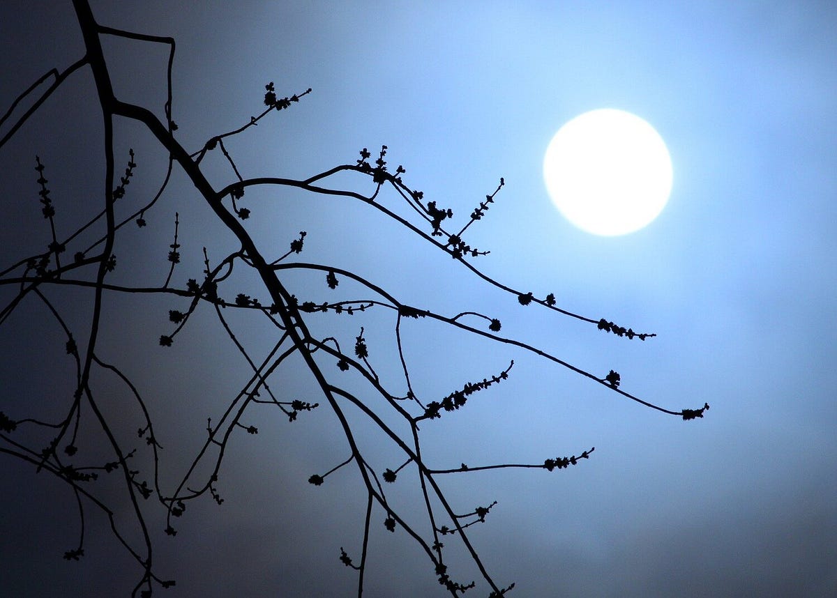 Sunday Brings the Full Worm Moon. You’re going to want to get outside ...