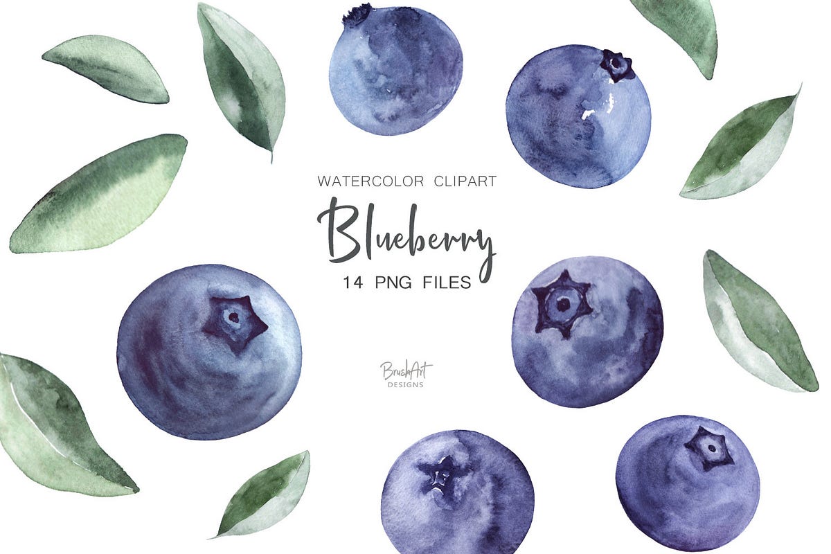 Blueberries Watercolor Clipart - Vectorverve - Medium