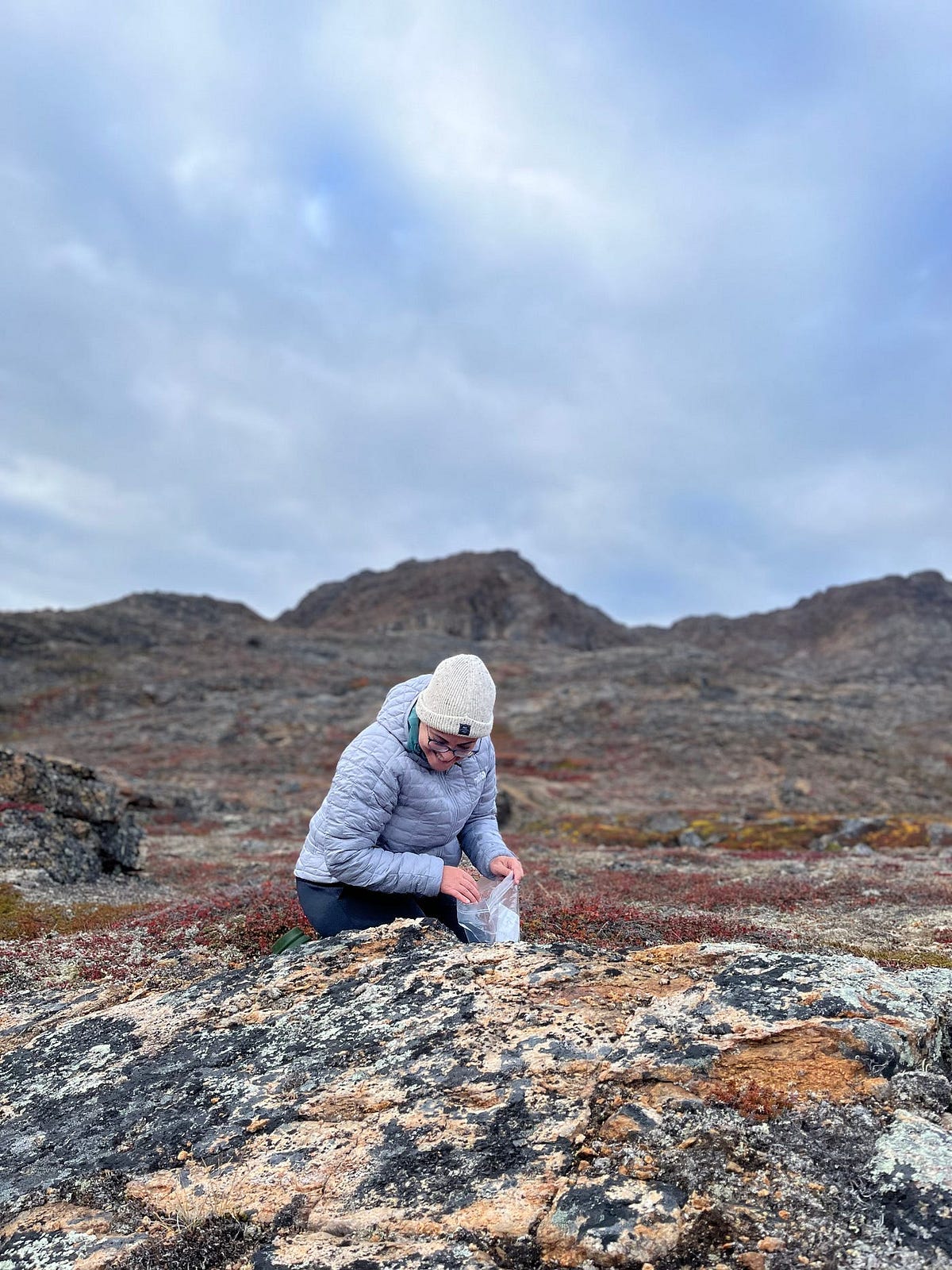 Berry Picking in Nunavut. Connecting with the land through an… | by ...