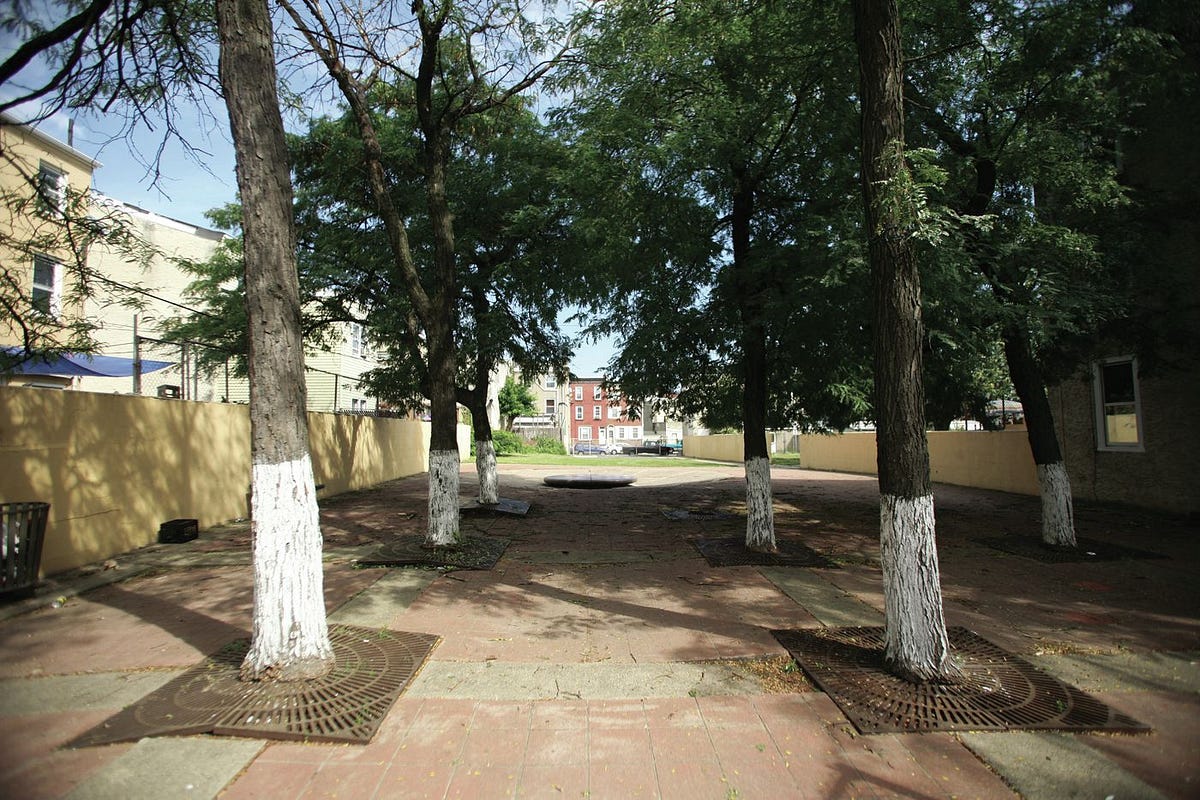 Reclaiming Kensington South’s Benson Park | by Admin | Star news | Medium