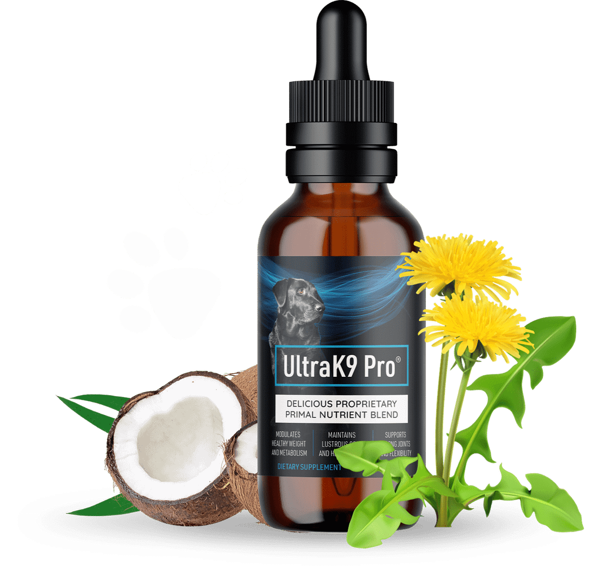 UltraK9 Pro: Unveiling the Key to Your Dog’s Health and Happiness | by ...