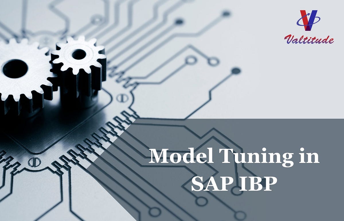Valtitude — Model Tuning in SAP IBP - Christineh Valtitude - Medium
