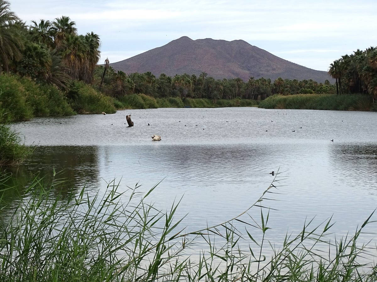 Geographic context indicates a Baja California/Southern California ...