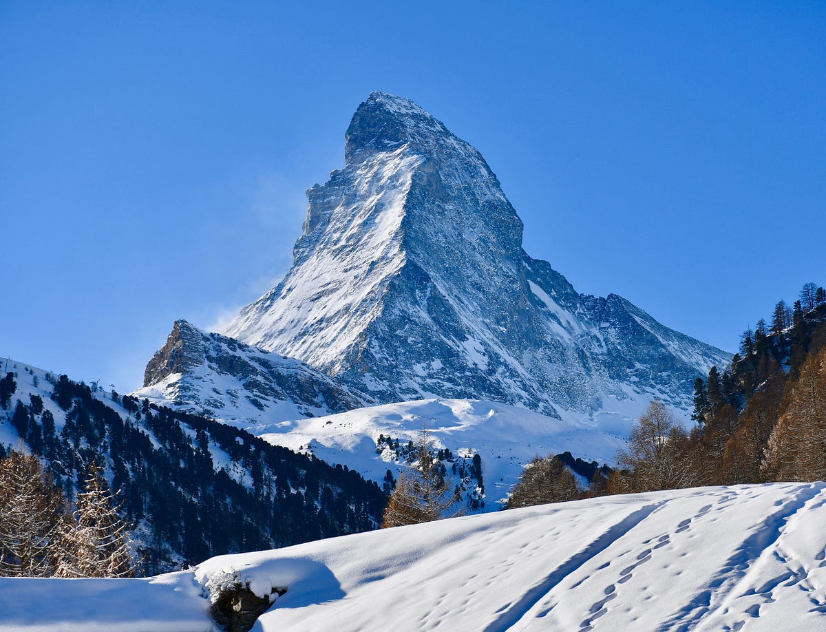Berg, my love for Thee is like a summers day | by Uvebruce | Doctor ...