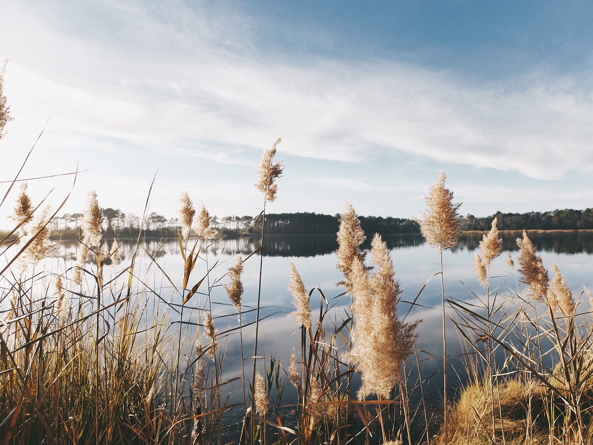 One With the Earth. An etheree poem | by Galit Birk, PhD | Being Known ...